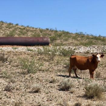Agriculture & Food Systems Support Division | Arizona Department of ...